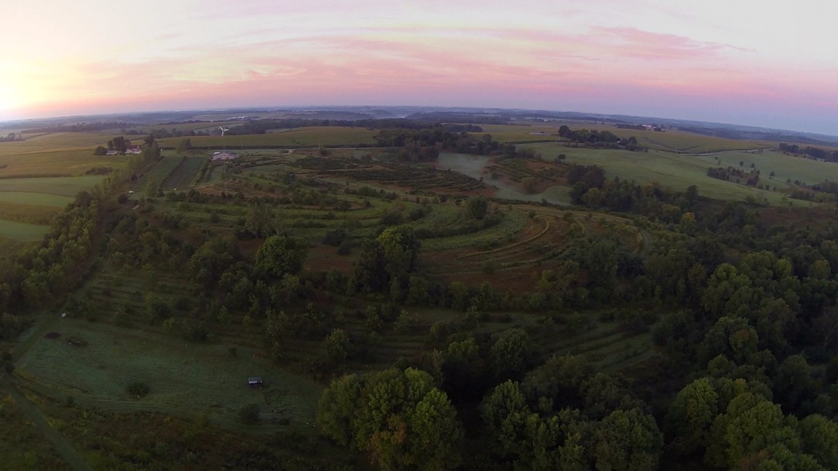 New Forest Farm – Redesigning Agriculture in Nature's Image