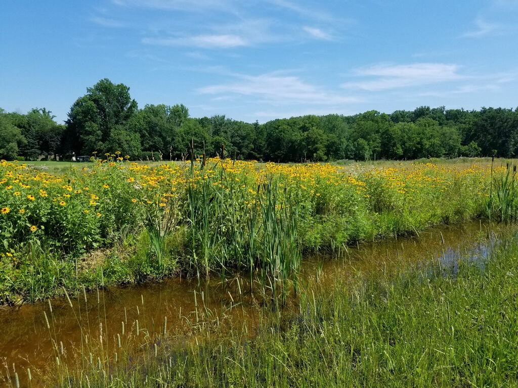 Design – New Forest Farm