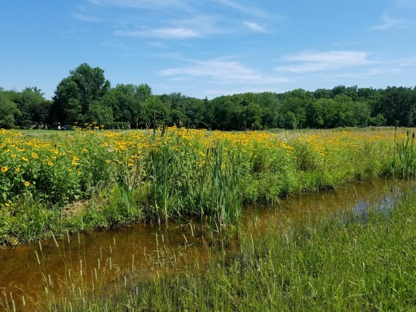 Design – New Forest Farm